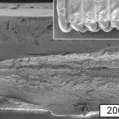 3D Printed Cellulose Sensors & Sustainable IoT Electronics - 3D Printing