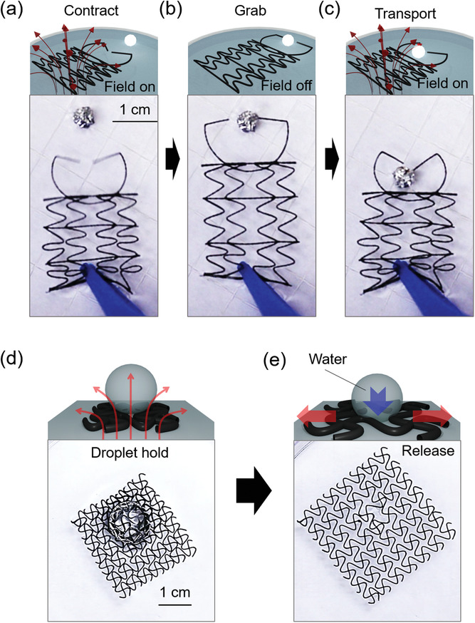 Mesh Robots Float & Grab Objects On Command - 3D Printing