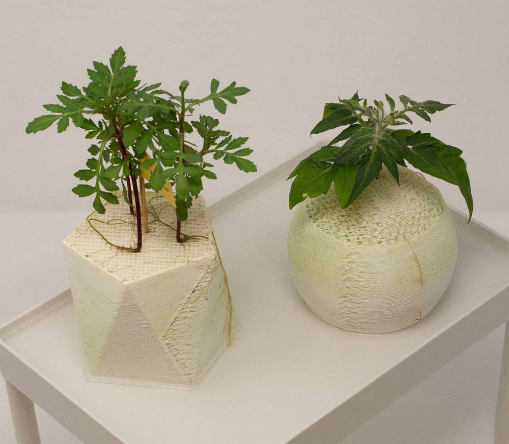 3D Printed Hydroponic Substrates For Soilless Plant Cultivation - 3D ...