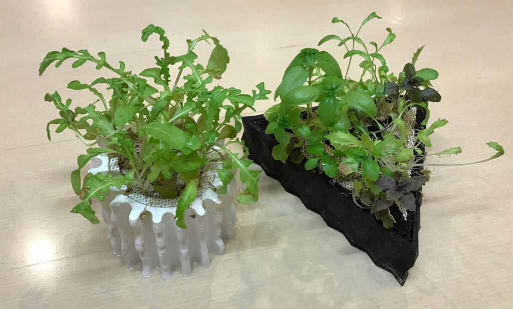 3D Printed Hydroponic Substrates For Soilless Plant Cultivation - 3D ...