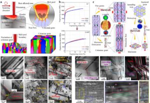 Custom 3D Printed Knee Implants Show Better Material Quality - 3D Printing