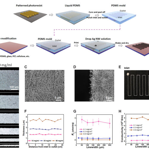 3D Printed Electronics