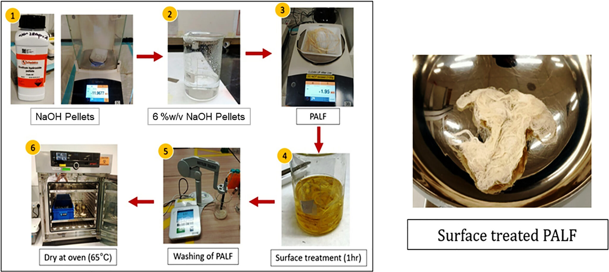 Pineapple Leaf Fibers Show Promise in Bioplastic Production
