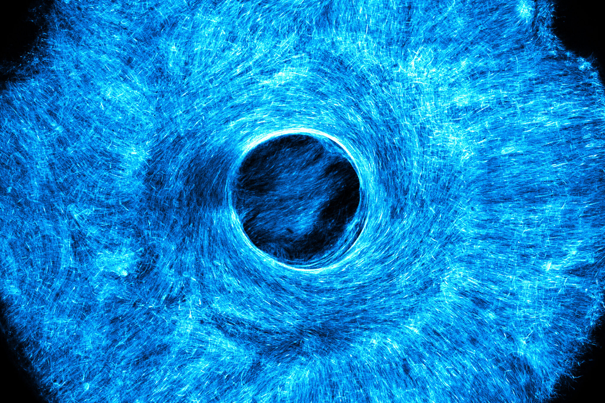 Artificial Muscle Breakthrough Enables Multi-Directional Movement for ...