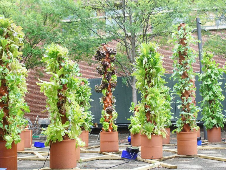 EcoTech Lab Introduces Clay-Based 3D Printed Hydroponic System - 3D ...