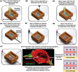 3D Printed Breast Cancer Tumor Model Demonstrates Tumor Reduction