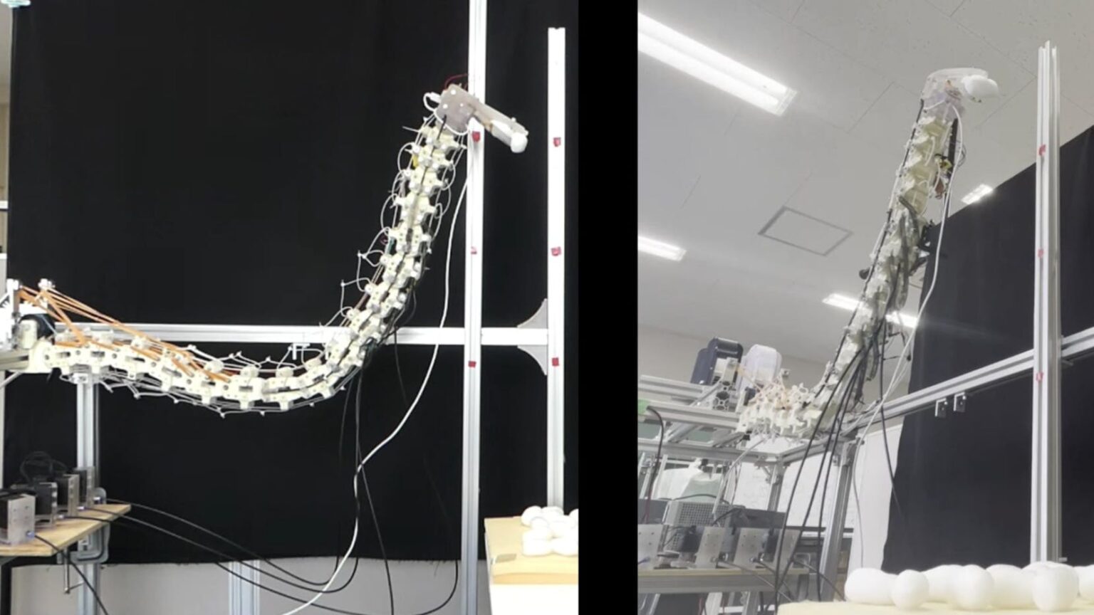 Researchers Create Ostrich-inspired Robotics with 3D Printed Vertebrae ...