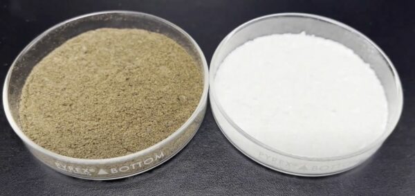 Fly Carcasses Pave the Way for Sustainable 3D Printing - 3D Printing