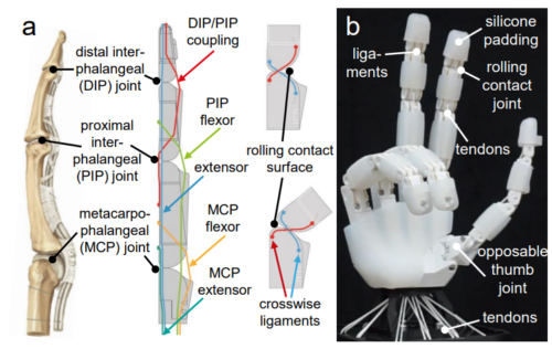 ETH Zurich 3D Prints Tendon-Driven Robotic Hand - 3D Printing