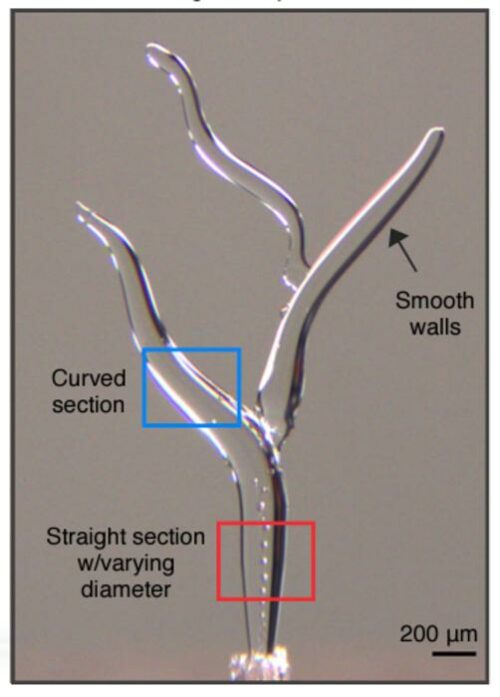 Researchers 3D Print Micro-Scale Structures with Ice - 3D Printing