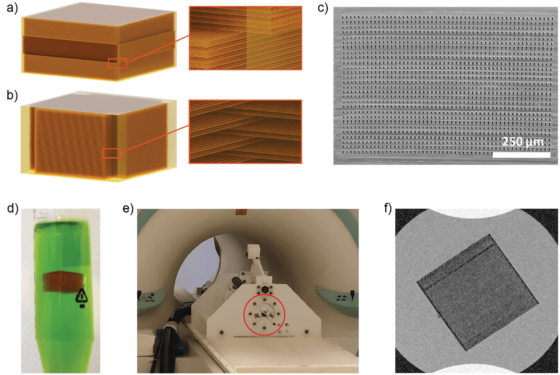 Researchers 3D Print World's First High-Resolution Brain Phantom - 3D ...
