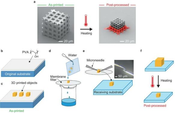 SUTD Develops New Technique for Precise Shrinkage in 3D Printing - 3D ...