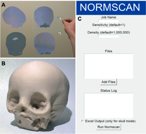 Researchers Release Open Source Python Software To Aid Ct Scan Model Printing 3d Printing