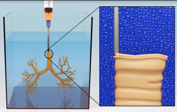 Researchers Use Silicone to 3D Print Accurate Brain Models - 3D Printing
